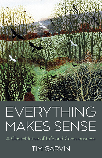 Everything Makes Sense: A Close-Notice of Life and Consciousness ...